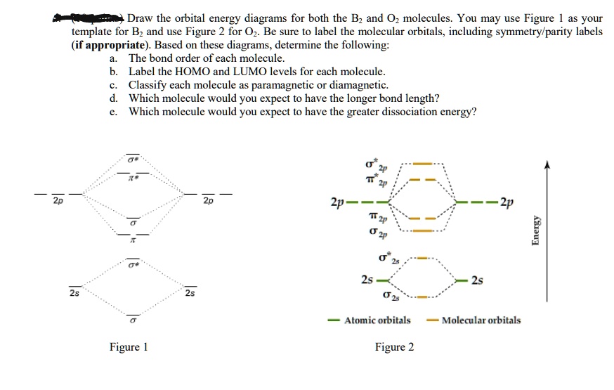 Solved Draw The Orbital Energy Diagrams For Both The Bz And Oz