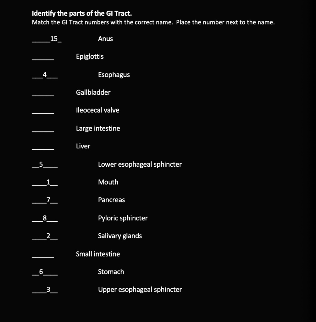 Identify the parts of the GI Tract. Match the GI Tract numbers with the ...