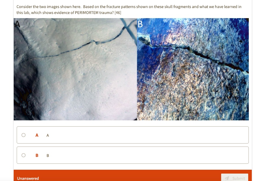 SOLVED: Consider the two images shown here. Based on the fracture ...