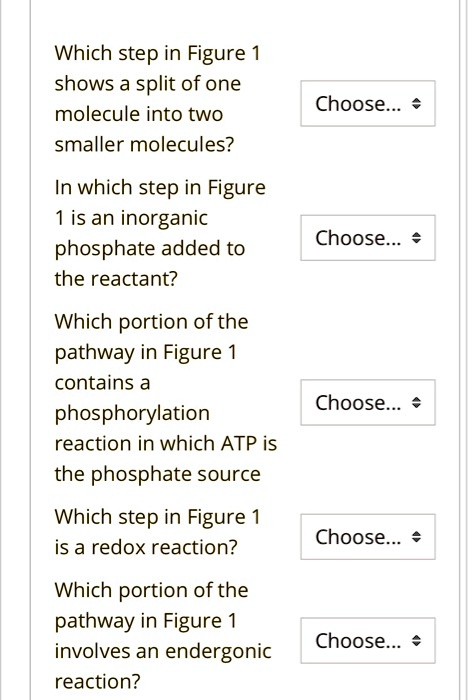 Which step in figure 1 shows a split of one molecule into...
