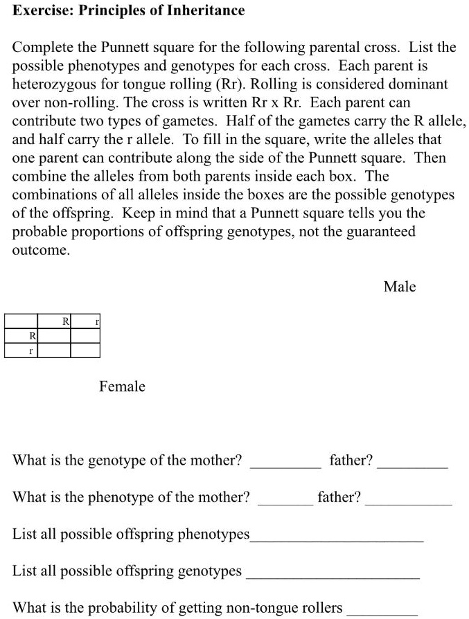 SOLVED: Exercise: Principles of Inheritance Complete the Punnett square ...