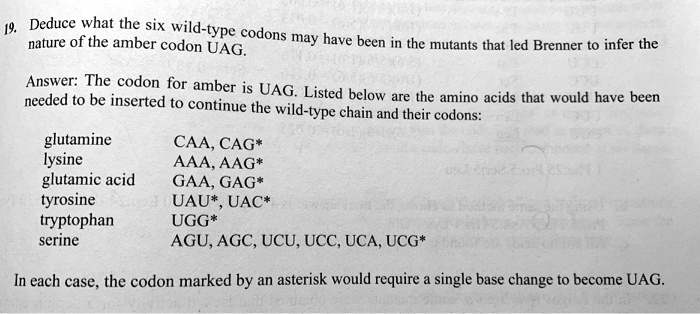 deduce what the six wild type nature of the amber codon uagcodons may ...
