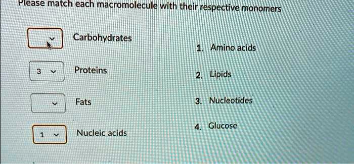 SOLVED: Piease match each macromolecule with their respective monomers ...