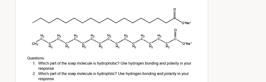 0 na ch 0 na questions which part of the soap molecule is...