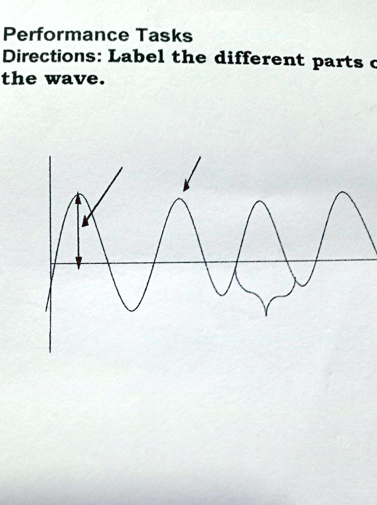 SOLVED: Performance Tasks Directions: Label the different parts of the ...