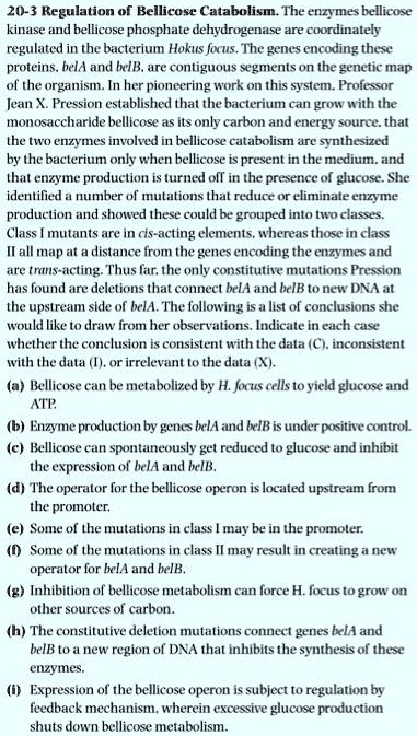 SOLVED: 20-3 Regulation of Bellicose Catabolism. The enzymes bellicose ...