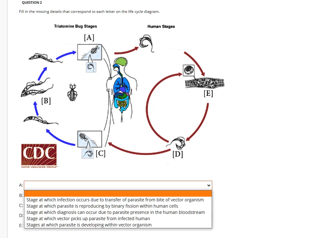 SOLVED: QUESTION 2 Fill in the missing details that correspond to each ...