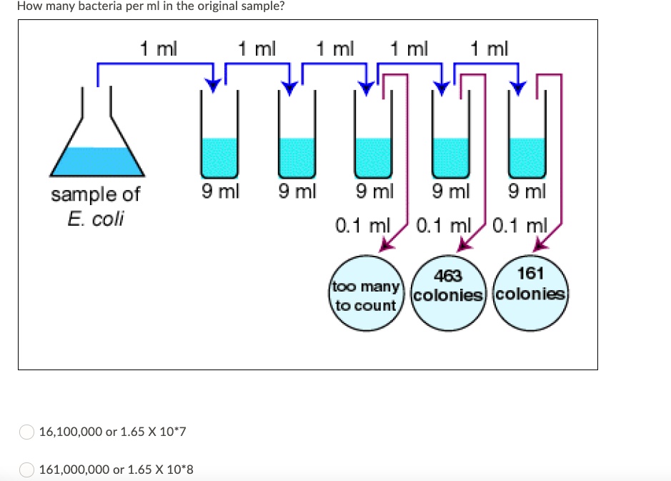 How many bacteria per ml in the original sample? 1 ml 1 ml 1 ml ml ml ...