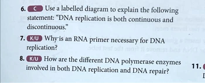 SOLVED: 6. Use a labeled diagram to explain the following statement ...