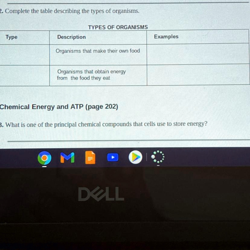 SOLVED: '2. Complete the table describing the types of organisms. TYPES OF ORGANISMS Type ...