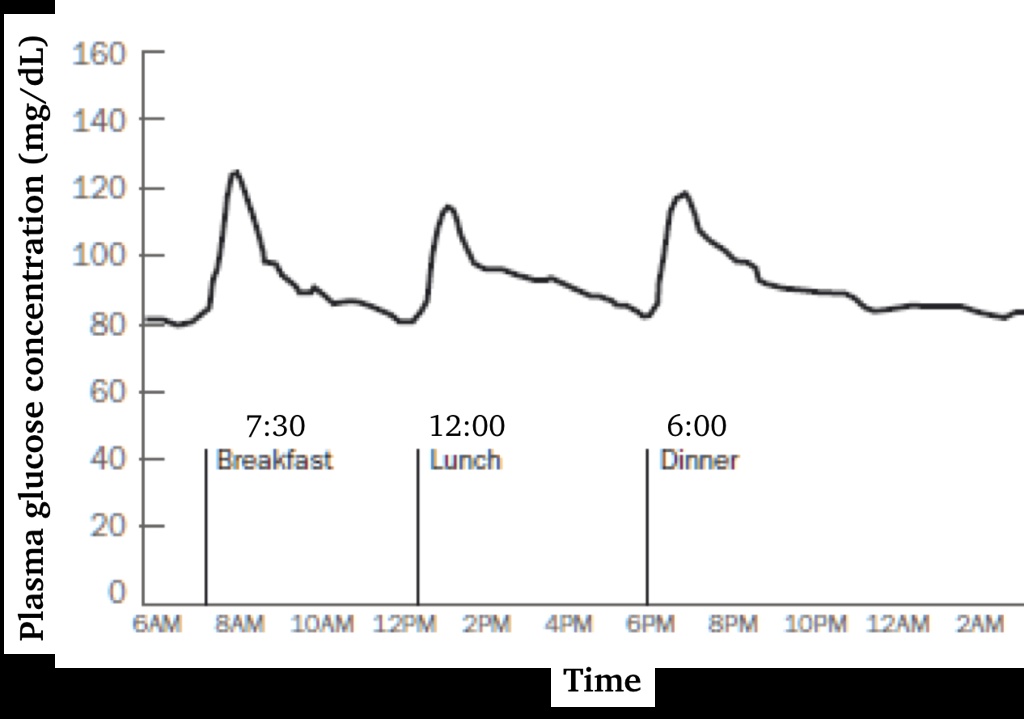 SOLVED: The following graph shows plasma glucose concentrations in a ...