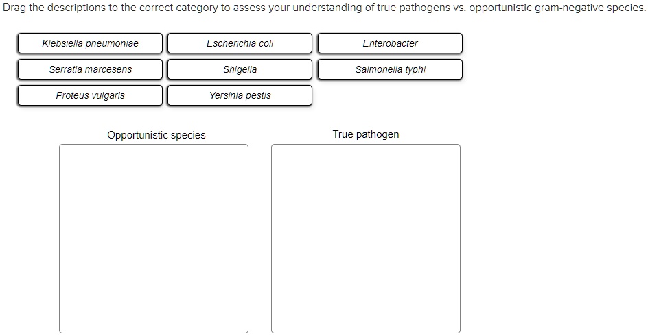 SOLVED: Drag the descriptions to the correct category to assess your ...