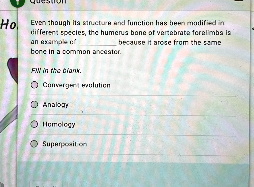Even though its structure and function has been modified in different species, the humerus bone ...