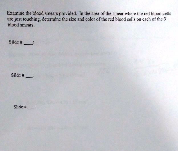 examine the blood smears provided in the area of the smear where the ...