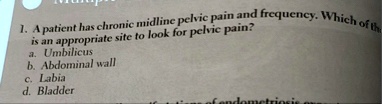 1 a patient has chronic midline pelvic pain and frequency which of the ...
