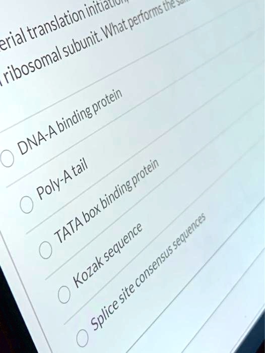 SOLVED:initlations Fperforms t ine ?" translationi erial subunit WhatF (ribosomal protein ...