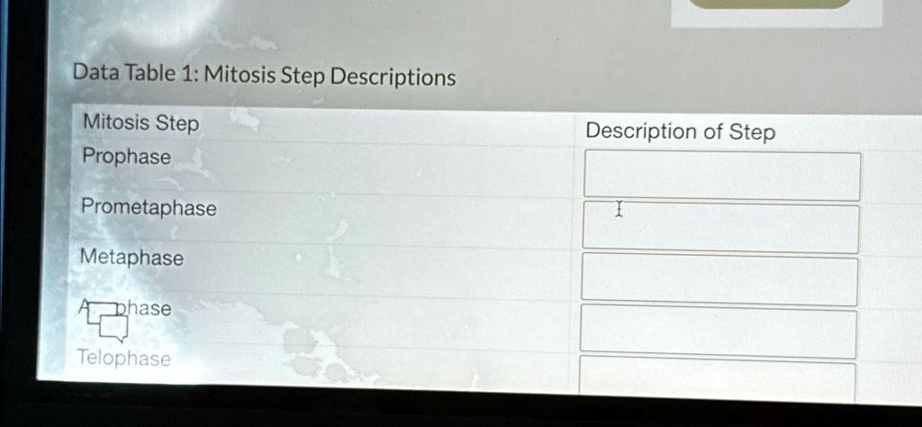 data table 1 mitosis step descriptions tablemitosis stepdescription of ...