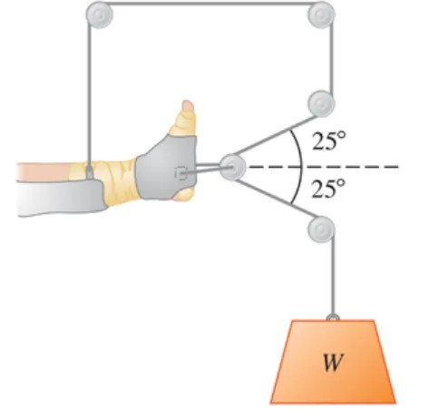 in order to prevent muscle contraction from misaligning bones during ...