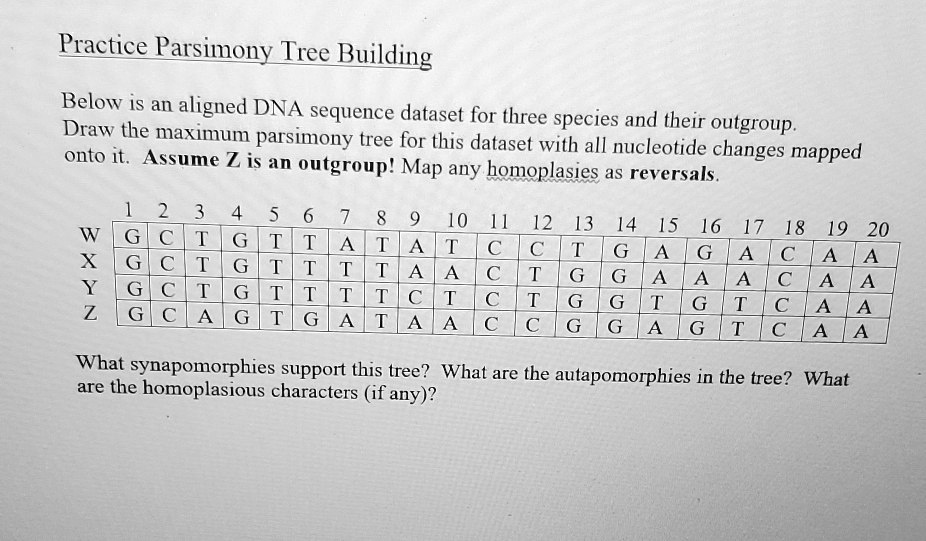 SOLVED: Title: Practice in Parsimony Tree Building Below is an aligned ... SOLVED: Title: Practice in Parsimony Tree Building Below is an aligned ...