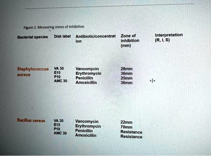 SOLVED: Could you please find the interpretation (R, I, S) for these ...