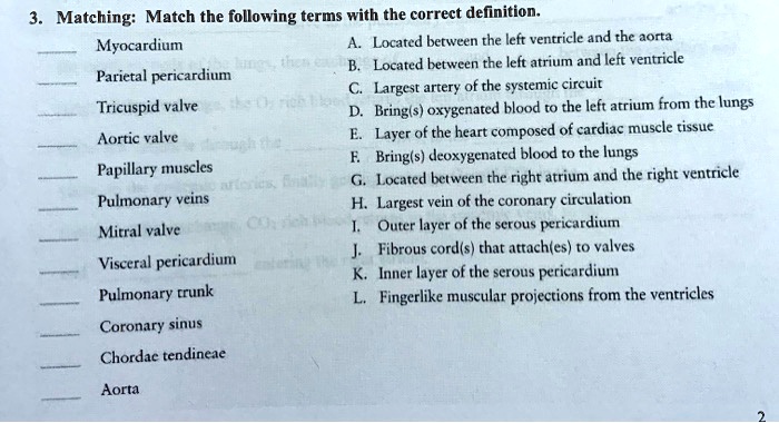 SOLVED: Matching: Match the following terms with the correct definition. Myocardium: E. Layer of ...