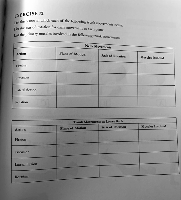 SOLVED: Neck Movements Plane of Motion Axis of Rotation Action Muscles ...