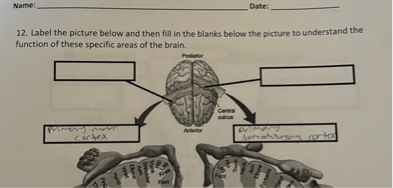 label the picture below and then fill in the blanks below the picture ...