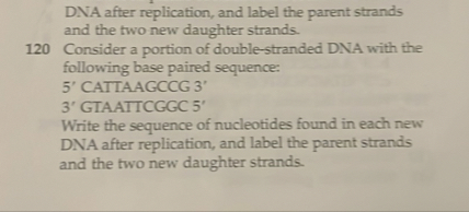 SOLVED: DNA after replication, and label the parent strands and the two ...