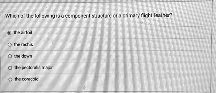 Which of the following is a component structure of a primary flight ...