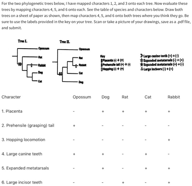 SOLVED:For the two phylogenetic trees below; have mapped characters and ...