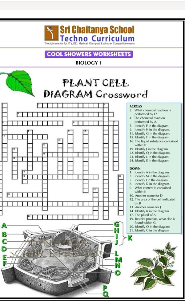 across2 what chemical reaction is performed by f4 the chemical reaction ...