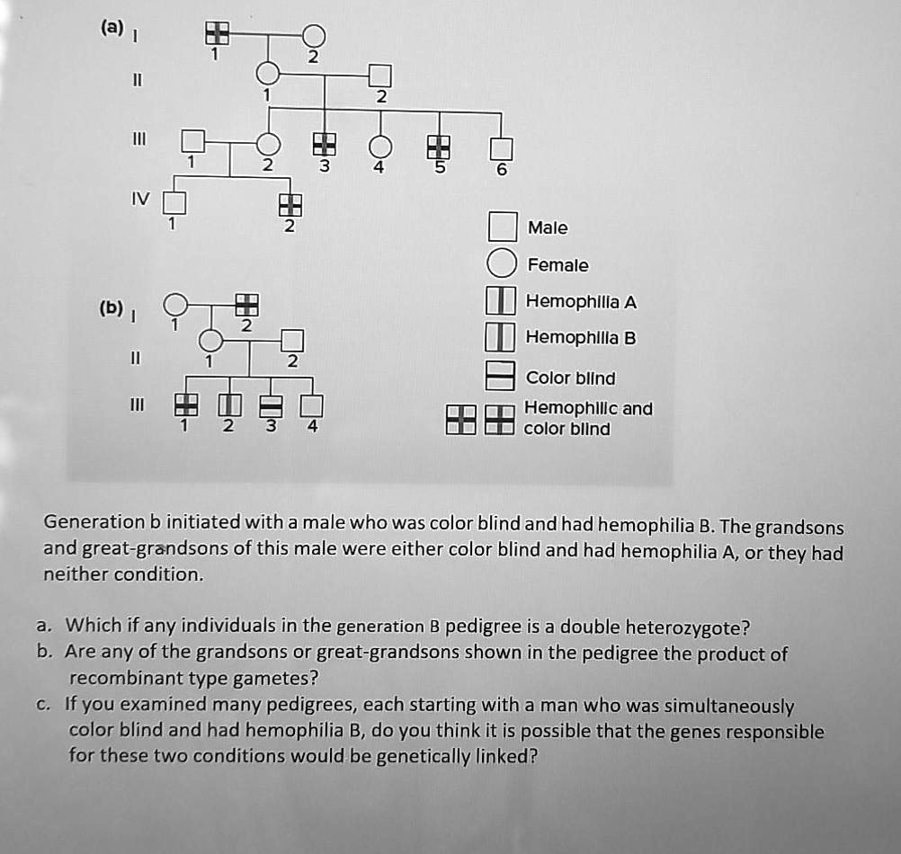 a male female b hemophllla a hemophllla b color bllnd hemophlllc and ...