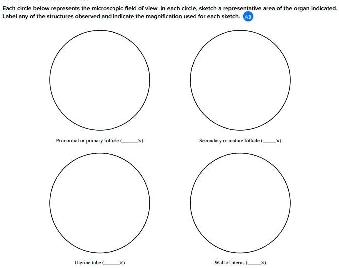 Each circle below represents the microscopic field of view. In each ...