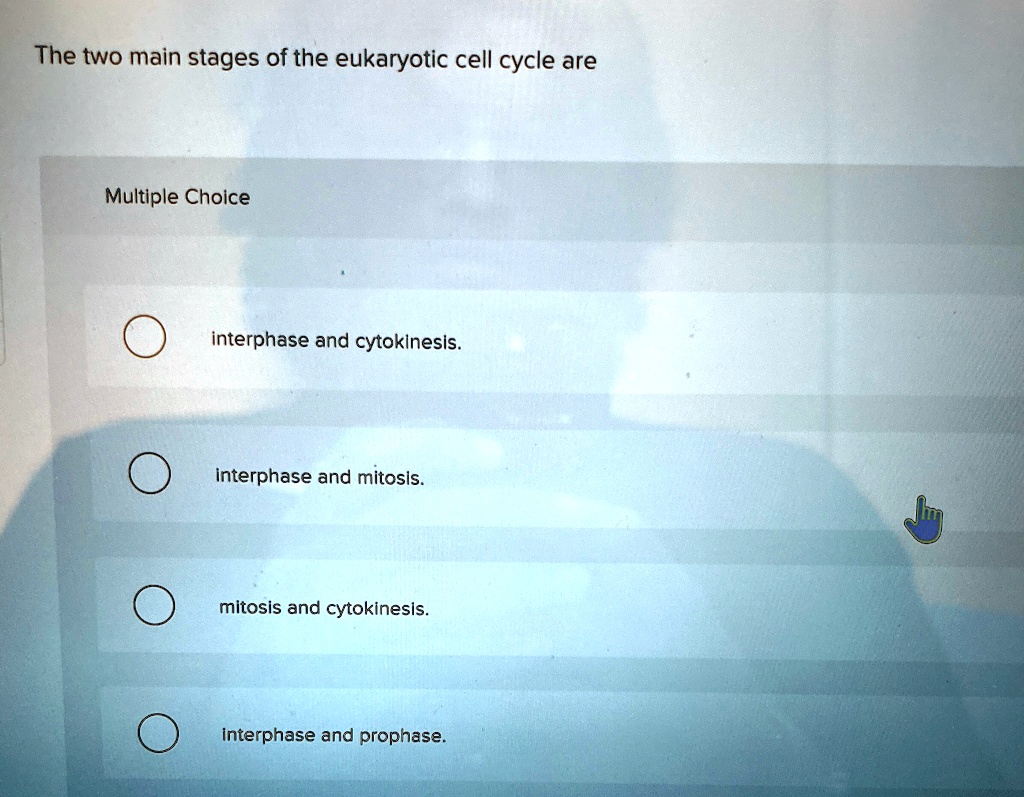The two main stages of the eukaryotic cell cycle are Multiple Choice ...