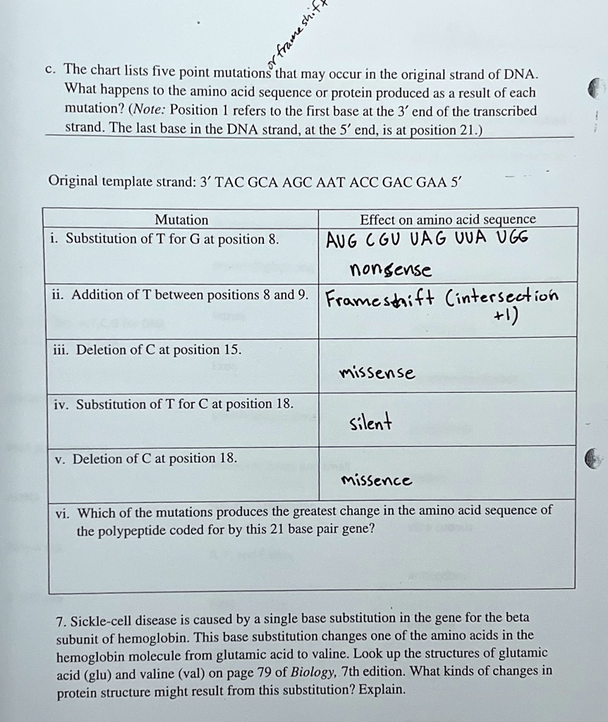 The chart lists five point mutations that may occur in the original strand of DNA. What happens ...