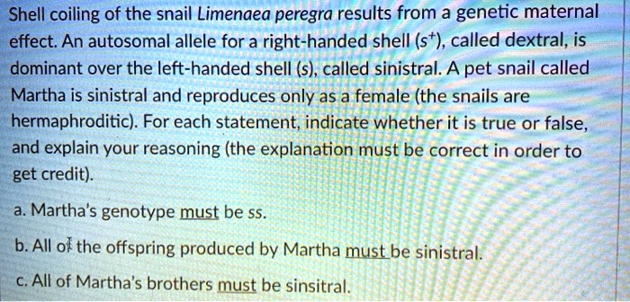 Shell coiling of the snail Limenaea peregra results from a genetic ...