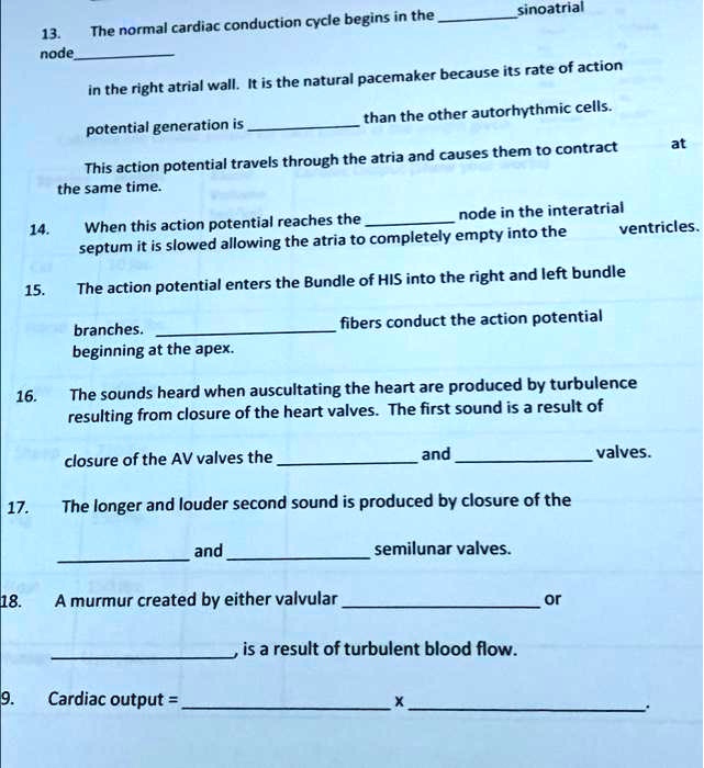13. The normal cardiac conduction cycle begins in the sinoatrial node ...
