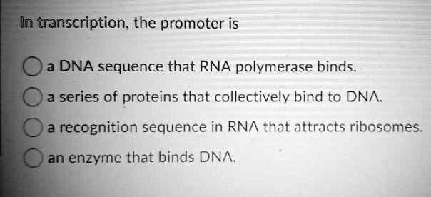 SOLVED: In transcription. the promoter is a DNA sequence that RNA ...