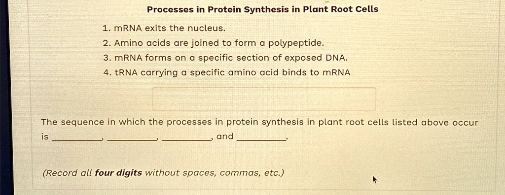 Processes in Protein Synthesis in Plant Root Cells mRNA exits the ...