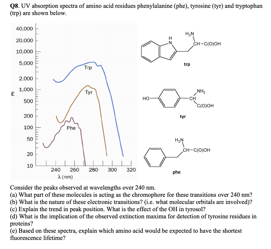 SOLVED: Q8. UV absorption spectra of amino acid residues phenylalanine ...