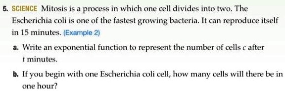 SOLVED: SCIENCE Mitosis is process in which one cell divides into two ...