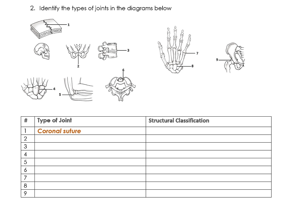 2. Identify the types of joints in the diagrams below 4 5 # Type of ...