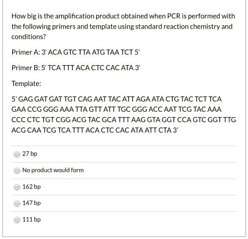 How big is the amplification product obtained when PCR is performed ...