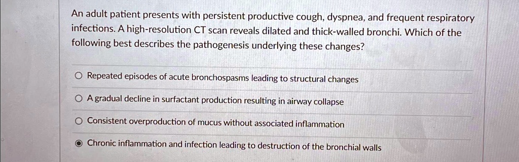 SOLVED: An adult patient presents with persistent productive cough ...