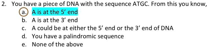 SOLVED: explain please 2. You have a piece of DNA with the sequence ...
