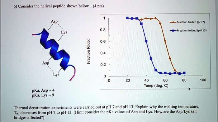 SOLVED: Consider the helical peptide shown below: (4 pts) Fraction ...