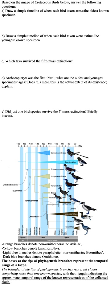 Based on the image of Cretaceous Birds below, answer the following ...