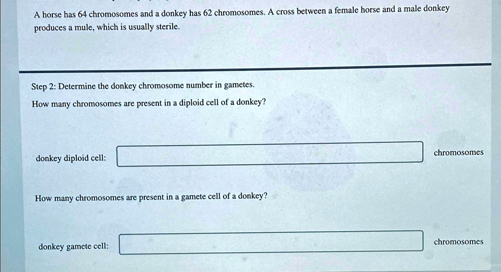 A horse has 64 chromosomes and a donkey has 62 chromosomes....