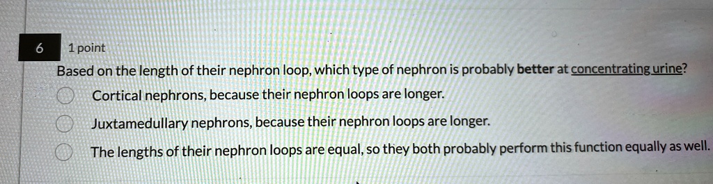 6 1 point based on the length of their nephron loop which type of ...