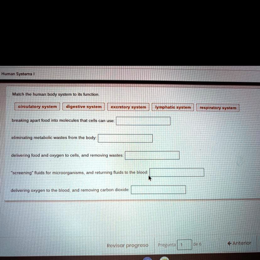 SOLVED: I NEED HELP PLEASE Human Systems Match the human body system to its function circulatory ...